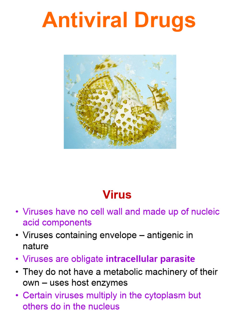 Classification of Antiviral Drugs | PDF | Interferon | Virus