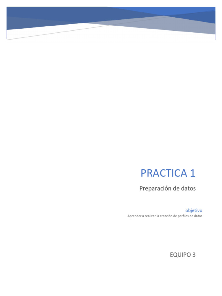 Creación de Perfiles de Datos: Guía Paso a Paso | PDF