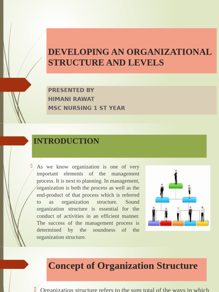 Understanding Organizational Structure | PDF | Hierarchy | Expert