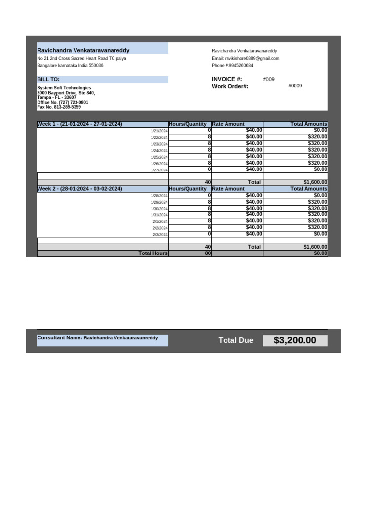 System Soft Technologies Bi-Weekly Invoice 6th Feb 24 | PDF