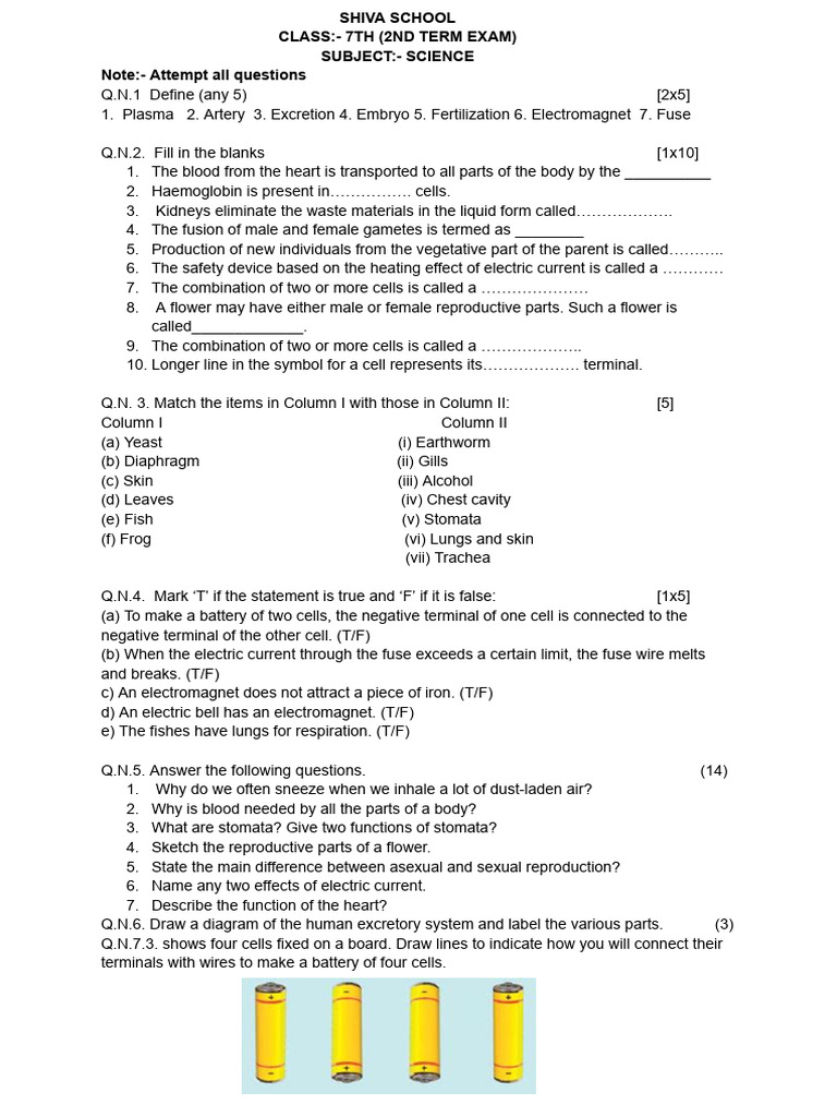 Class 7th Science (2nd Term 2024) | PDF | Lung | Anatomy