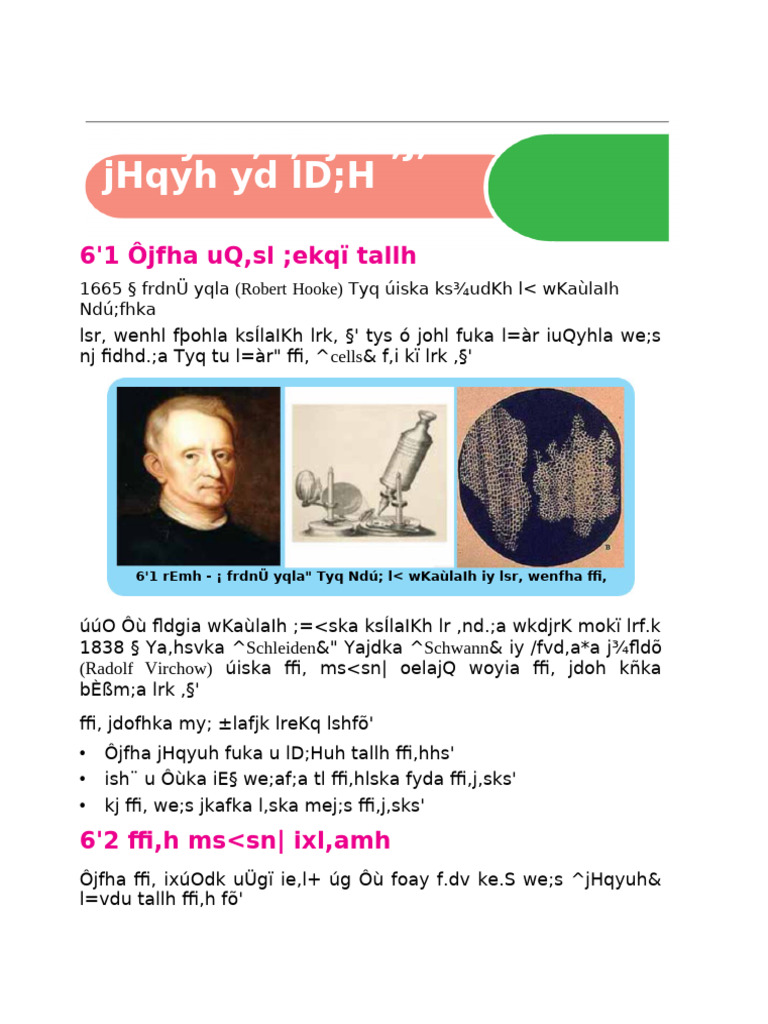 Science Grade - 10 (Sinhala) Structure and Functions of The Animal Cell ...