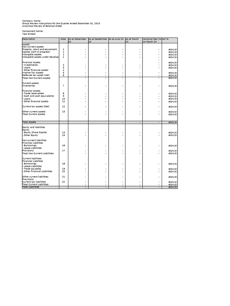 Q4 2024 Balance Sheet Review Guide | PDF | Income Statement | Dividend