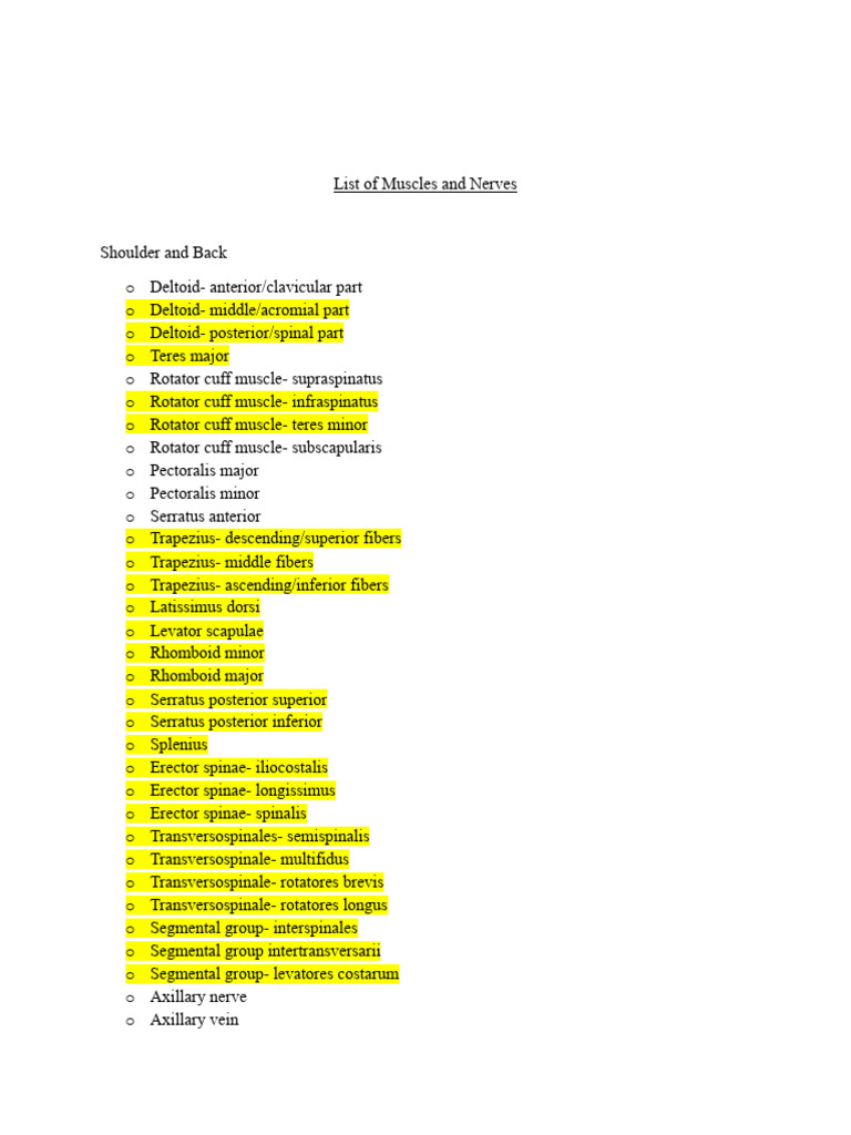 List of Muscles | PDF | Human Leg | Spinal Cord
