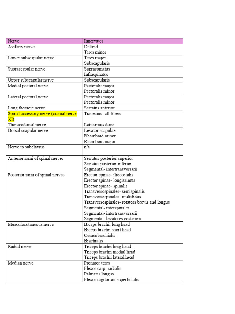 Muscle and Innervations | PDF | Arm | Limbs (Anatomy)