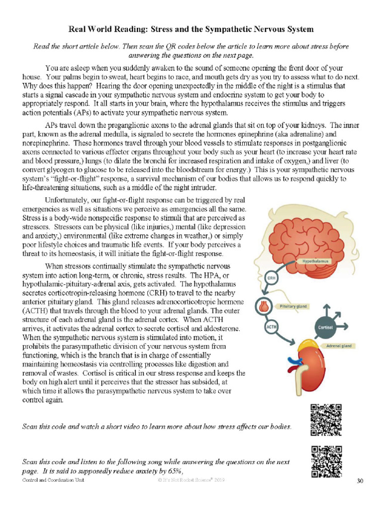 Annotated-Real World Reading - Stress and The Sympathetic Nervous ...
