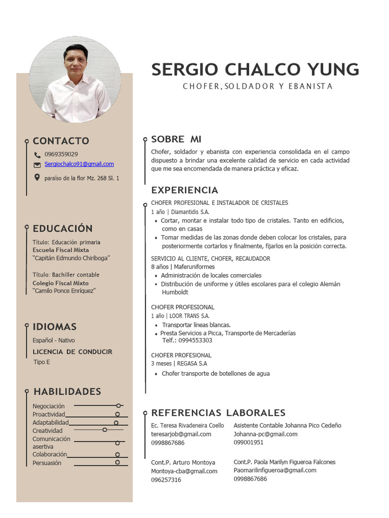 Curriculum Profesional Sergio Chalco 2025 | PDF