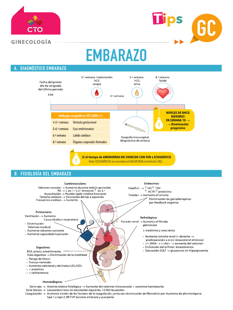 GC.TIPS.2V.Embarazo | PDF | El embarazo | Medicina CLINICA