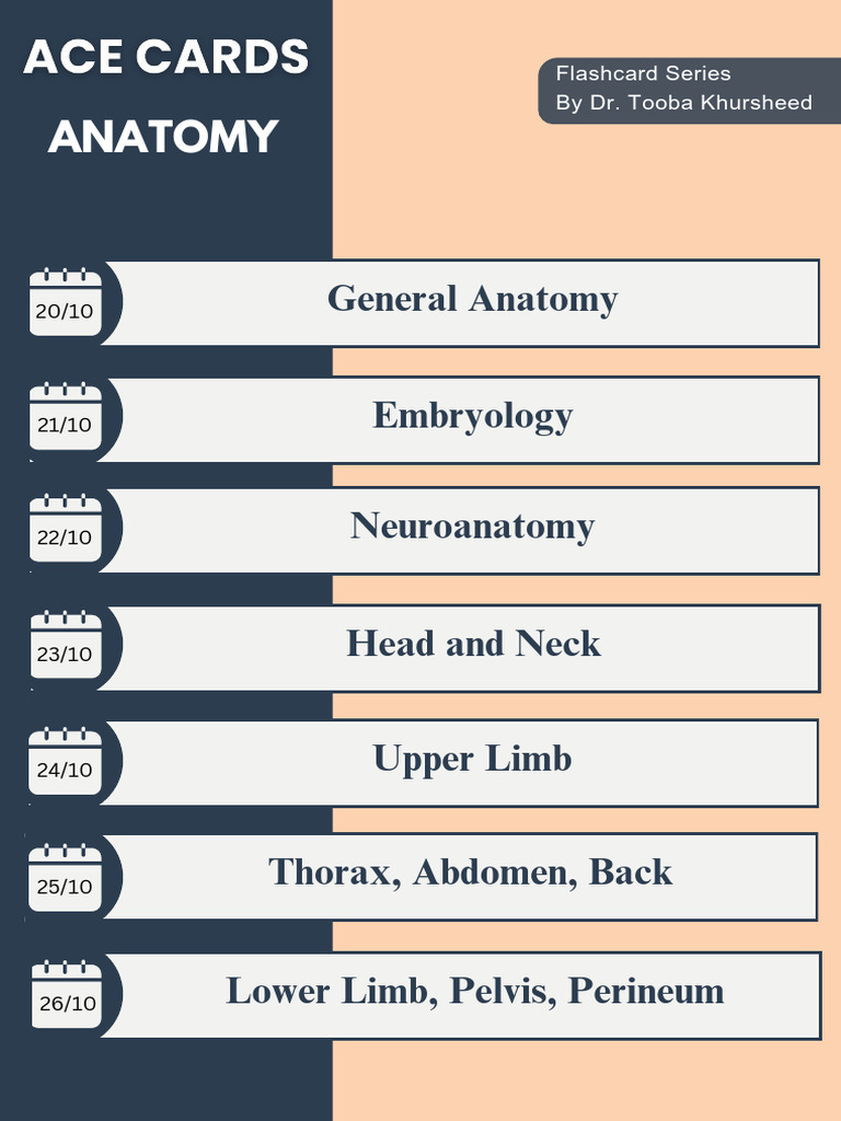 Anatomy Flashcard Series by Dr. Khursheed | PDF | Neck | Human Leg