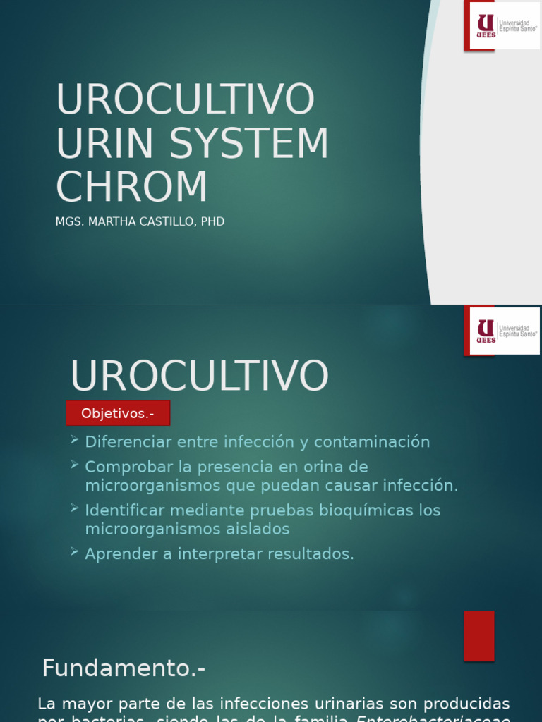 Urocultivo Urin System Crhom | PDF | Microbiología | Especialidades Medicas
