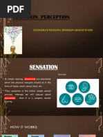 Our 8 Sensory Systems | PDF | Senses | Taste