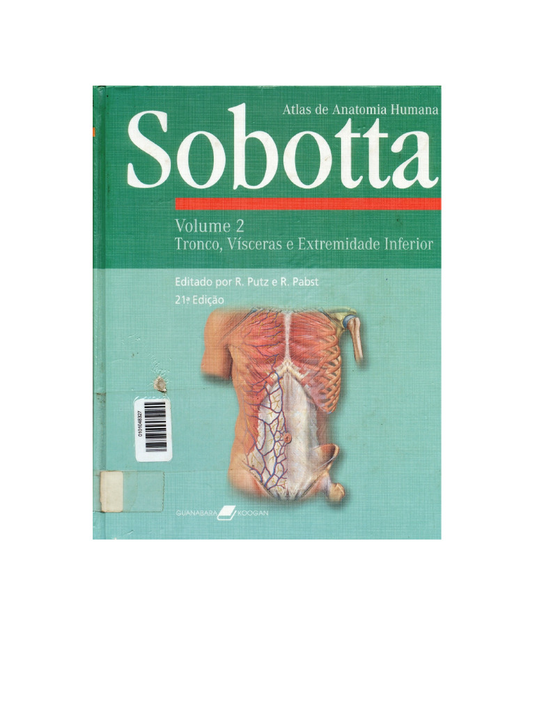 Atlas Sobotta Vol2 | PDF