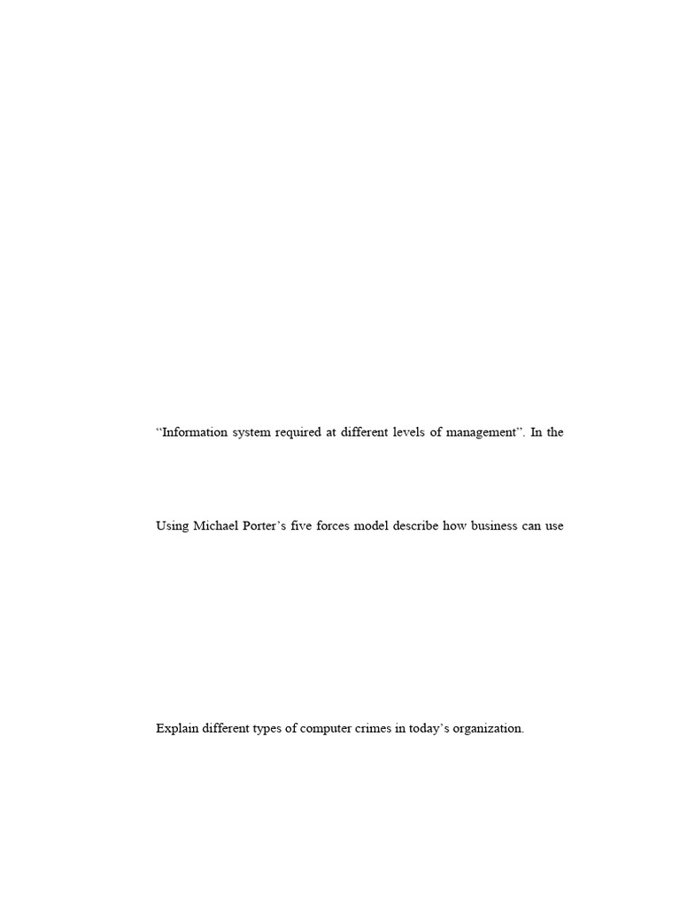 MIS 24 | PDF | System | Retail