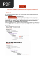 Generalidades de Esporozoarios | PDF | Anatomía | Biología