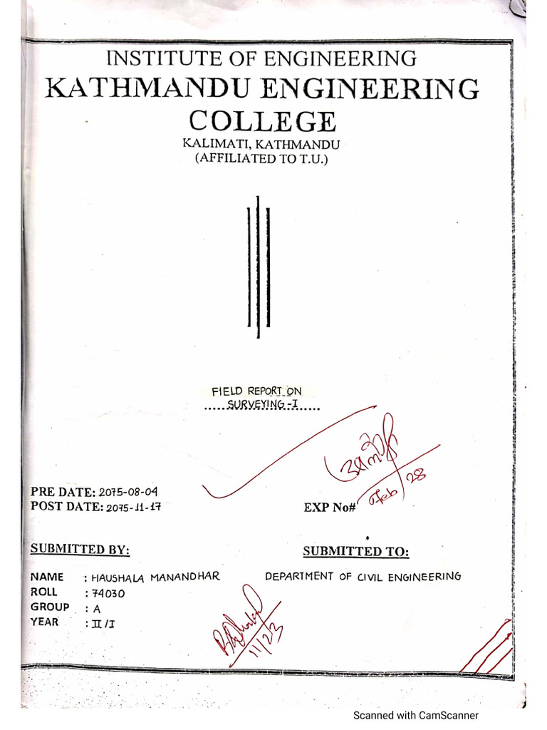 Survey File Report Sample | PDF