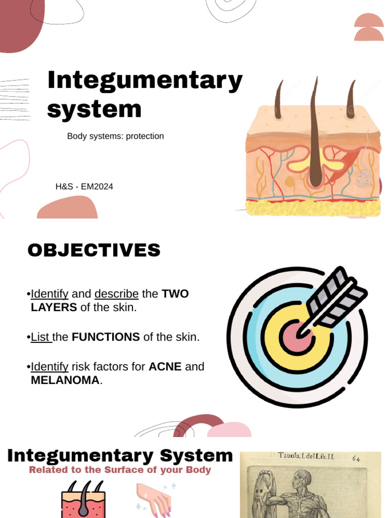 Integumentary System | PDF | Skin | Integumentary System