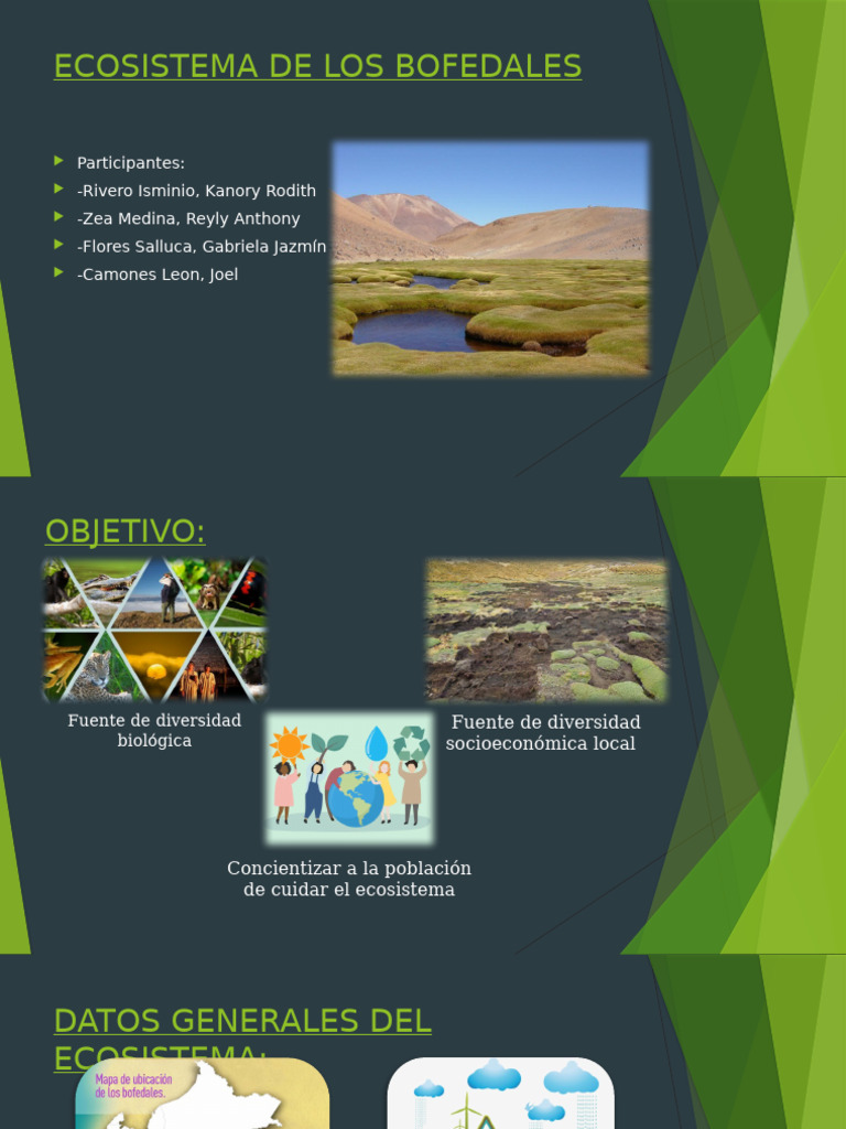 Ecosistema Bofedales: Diversidad y Retos | PDF