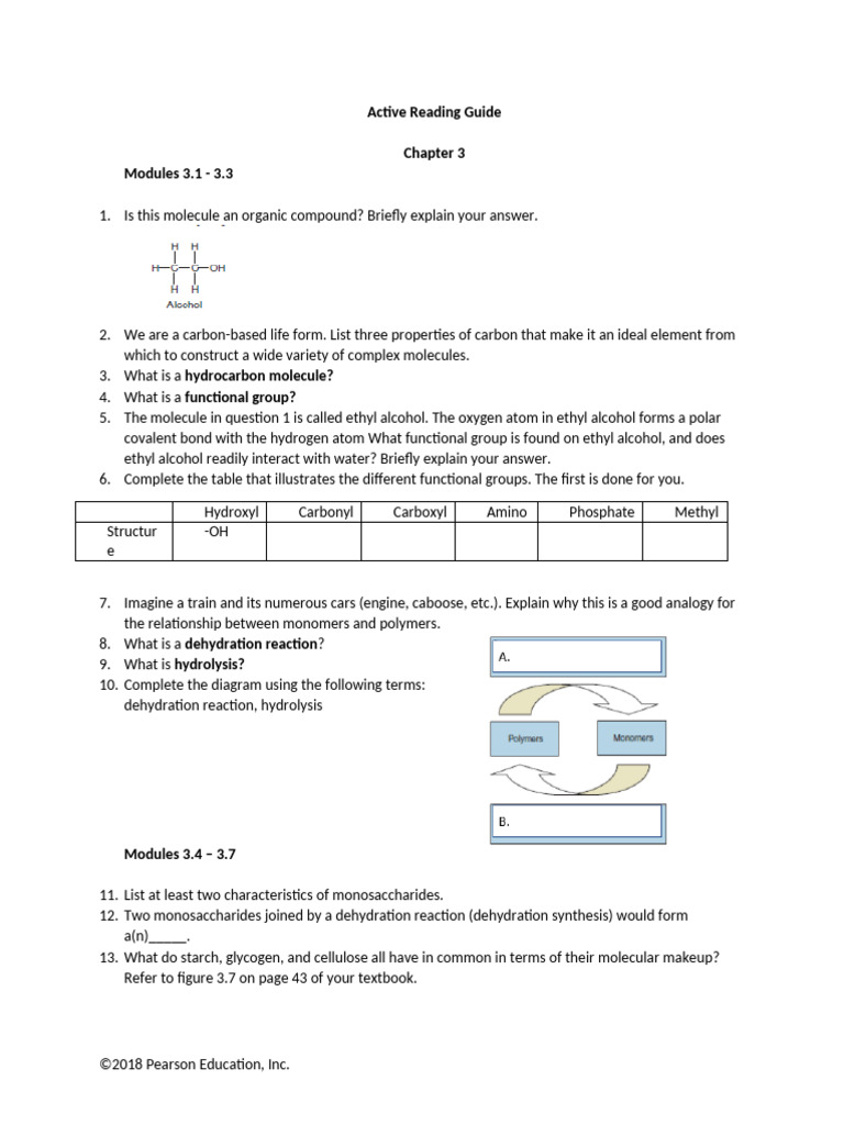 Active Reading Guide Modules 3.1 - 3.3 | PDF | Functional Group | Proteins