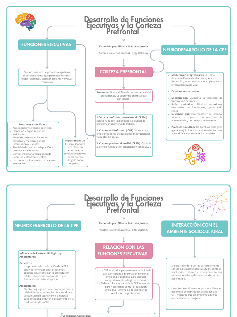 Mapa Conceptual Funciones Ejecutivas - 20241128 - 181943 - 0000 | PDF | Las emociones | Cerebro