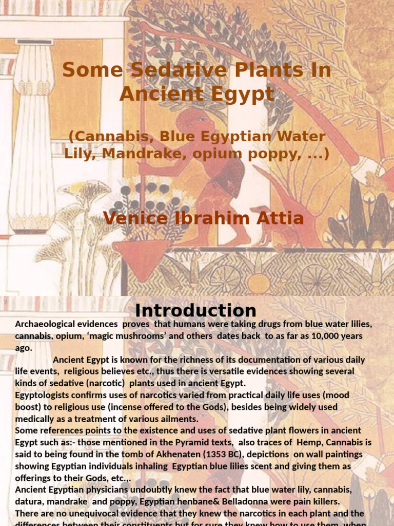 Some Sedative Plants in Ancient Egypt | PDF | Opium | Morphine