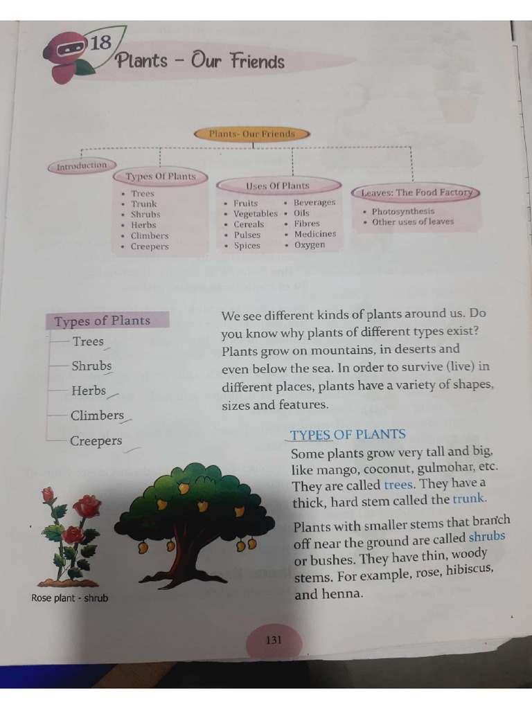 CH 18 - Plants Our Friend | PDF