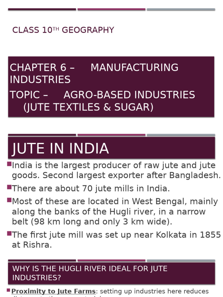Class 10 Chapter 6 Pt4 | PDF | Sugarcane | Jute