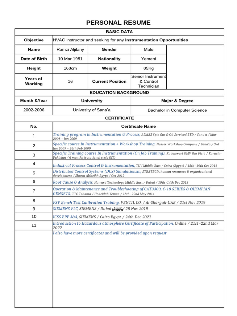 CV-Ramzi Aljilany - 081611 | PDF | Reliability Engineering | Engineering