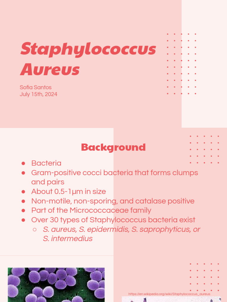 Staphylococcus Aureus | PDF | Staphylococcus Aureus | Staphylococcus