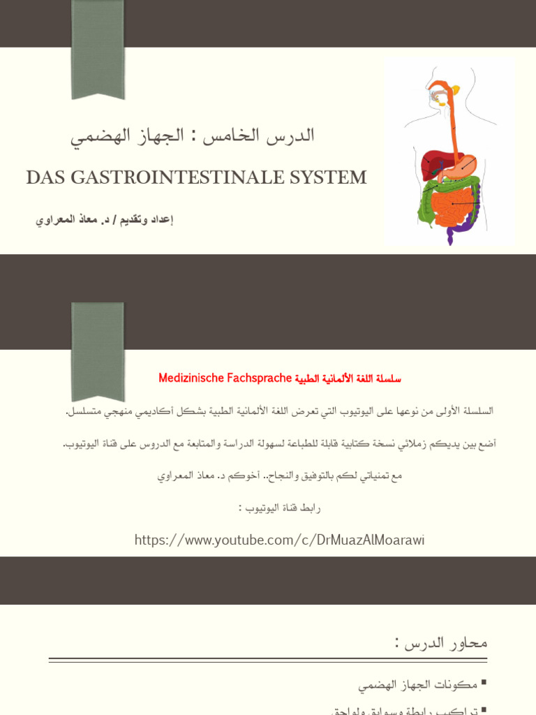 5 - Gastrointestinales System الجهاز الهضمي | PDF