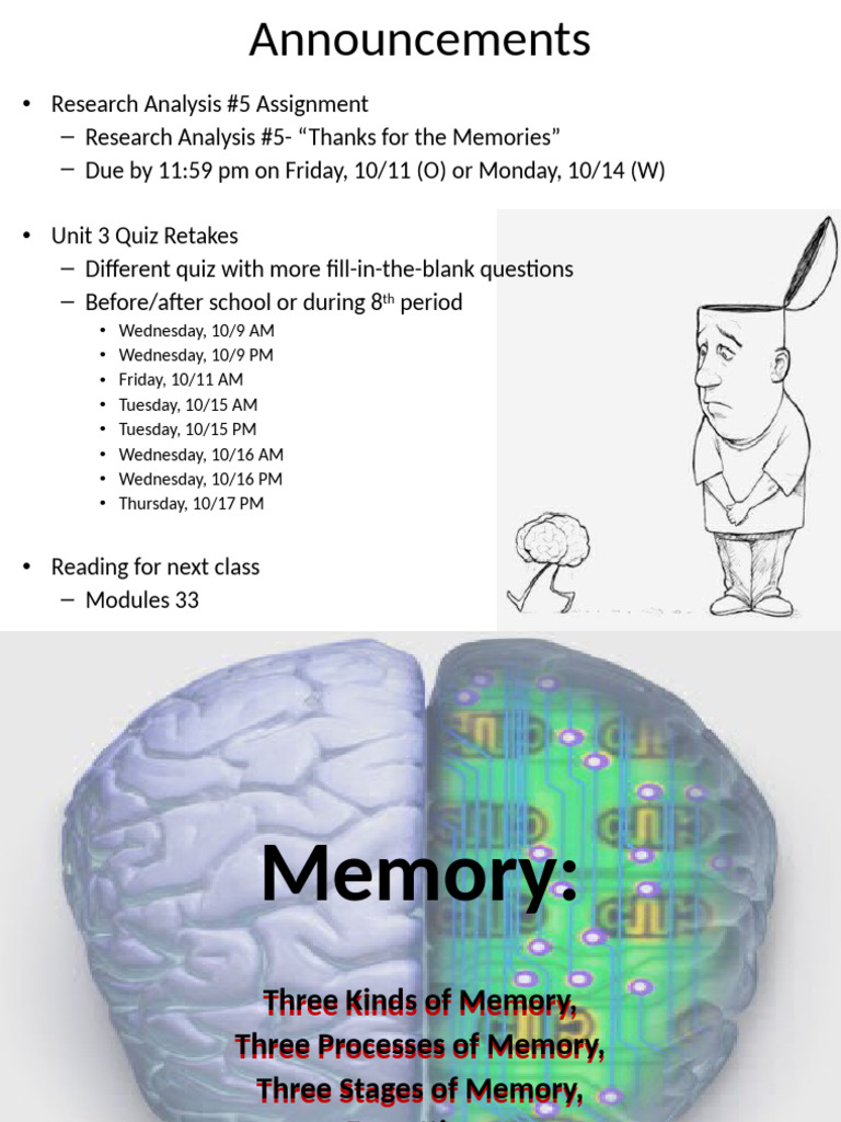 Memory Processes and Assignments Guide | PDF | Memory | Recall (Memory)
