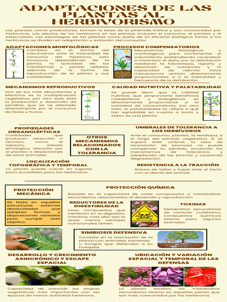 Adaptaciones de Las Plantas Al Herbivorismo | PDF | Herbívoro | Plantas