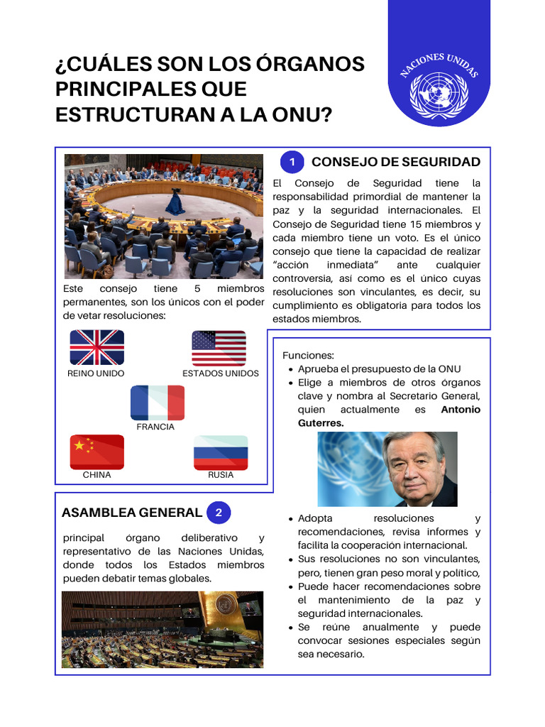 Estructura ONU (A3-1) | PDF | Naciones Unidas | Relaciones internacionales