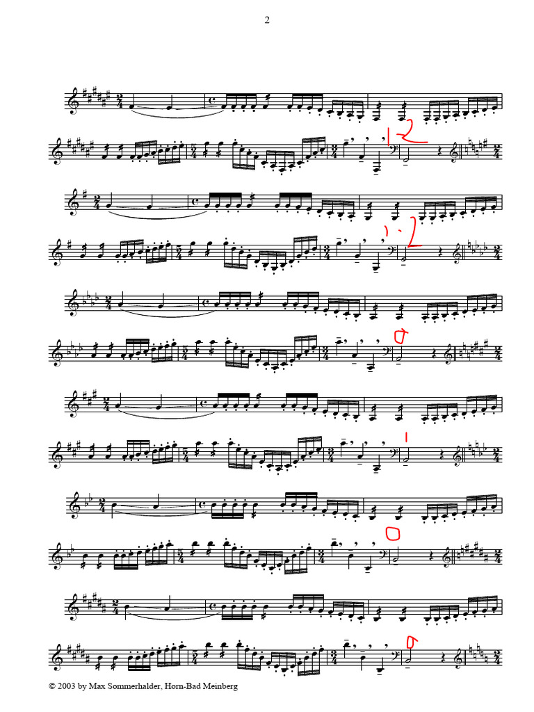 8 Sommerhalder Max Selected Scales 03-2004 Definitive Fassu | PDF