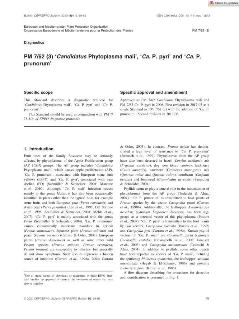 EPPO Bulletin - 2020 - PM 7 62 3 Candidatus Phytoplasma Mali CA P Pyri and CA P Prunorum-1 | PDF ...
