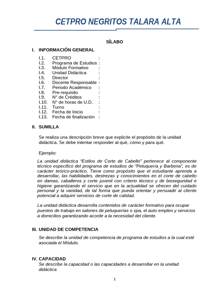 FORMATO SILABO PARA CETPRO | PDF | Aprendizaje | Evaluación