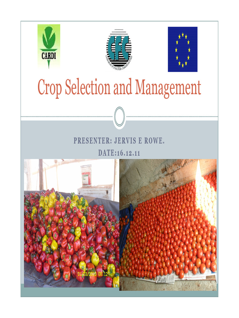 Crop Selection and Management | PDF | Seed | Fruit