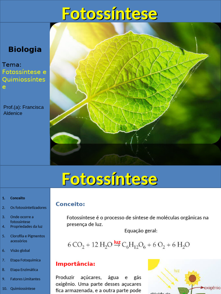 Aula de Fotossintese Quimiossintese | PDF | Fotossíntese | Clorofila