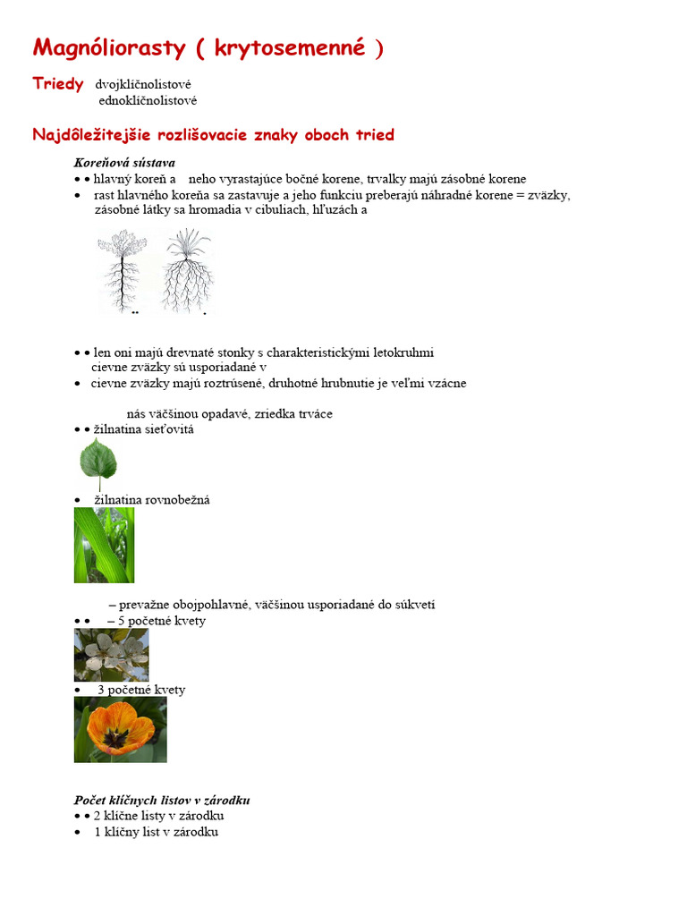 Znaky Jedno a Dvoj | PDF