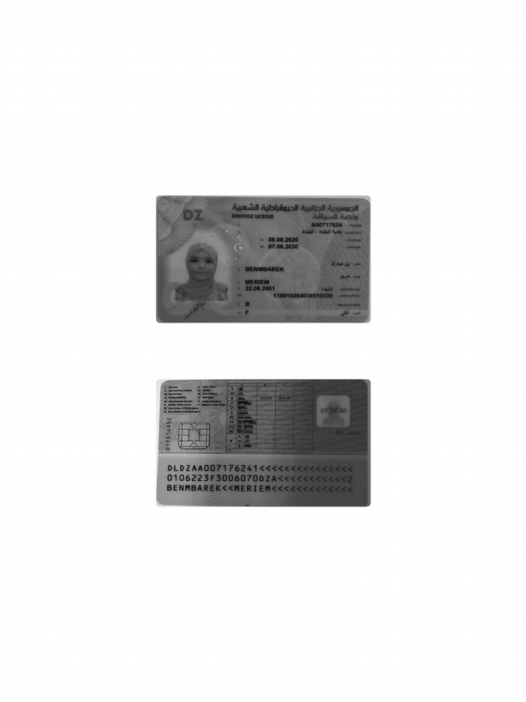 Driver License | PDF