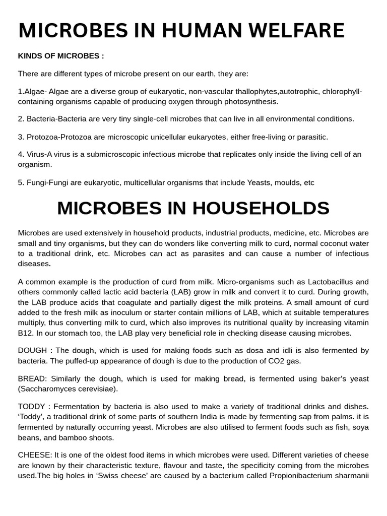 MICROBES IN HUMAN WELFARE Project | PDF | Microorganism | Fermentation