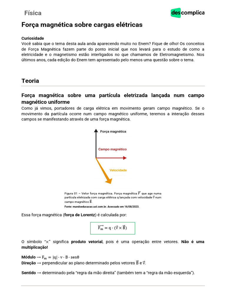 Força Magnética em Cargas Elétricas | PDF | Magnetismo | Campo magnético