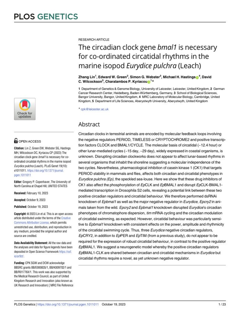 journal.pgen.1011011 (1) | PDF | Clock | Circadian Rhythm