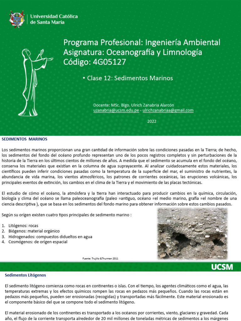 CLASE 12 SEDIMENTOS MARINOS - Compressed | PDF | Caliza | Mar