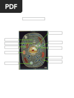 Diopter To MM Conversion Table | PDF | Ophthalmology | Lenses