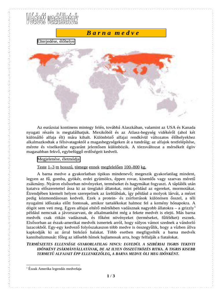 4 - Barna Medve Török Zoltán Kész | PDF