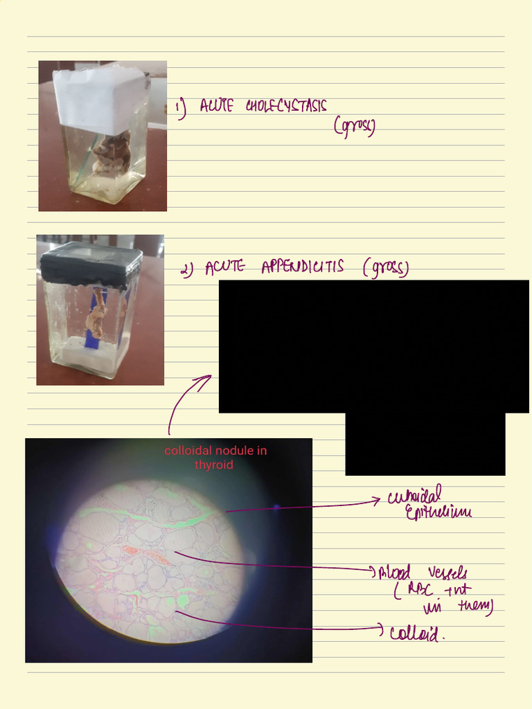 LAB SLIDES PATHOLOGY | PDF