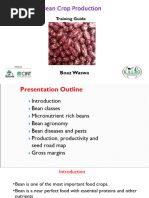 Gundhi Bug Zoo | PDF | Rice | Insects