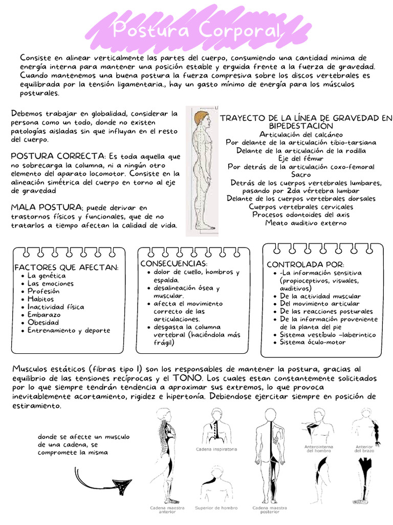 Postura Corporal | PDF | La columna vertebral | Pelvis