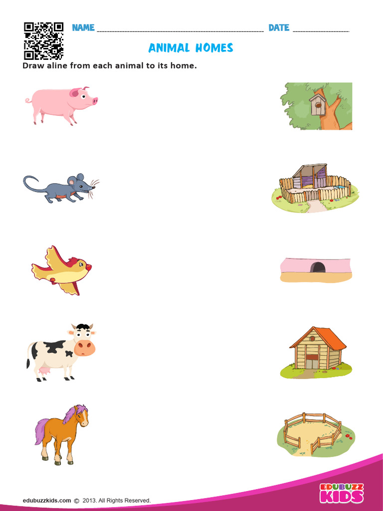 2 Animal-Homes (1) | PDF