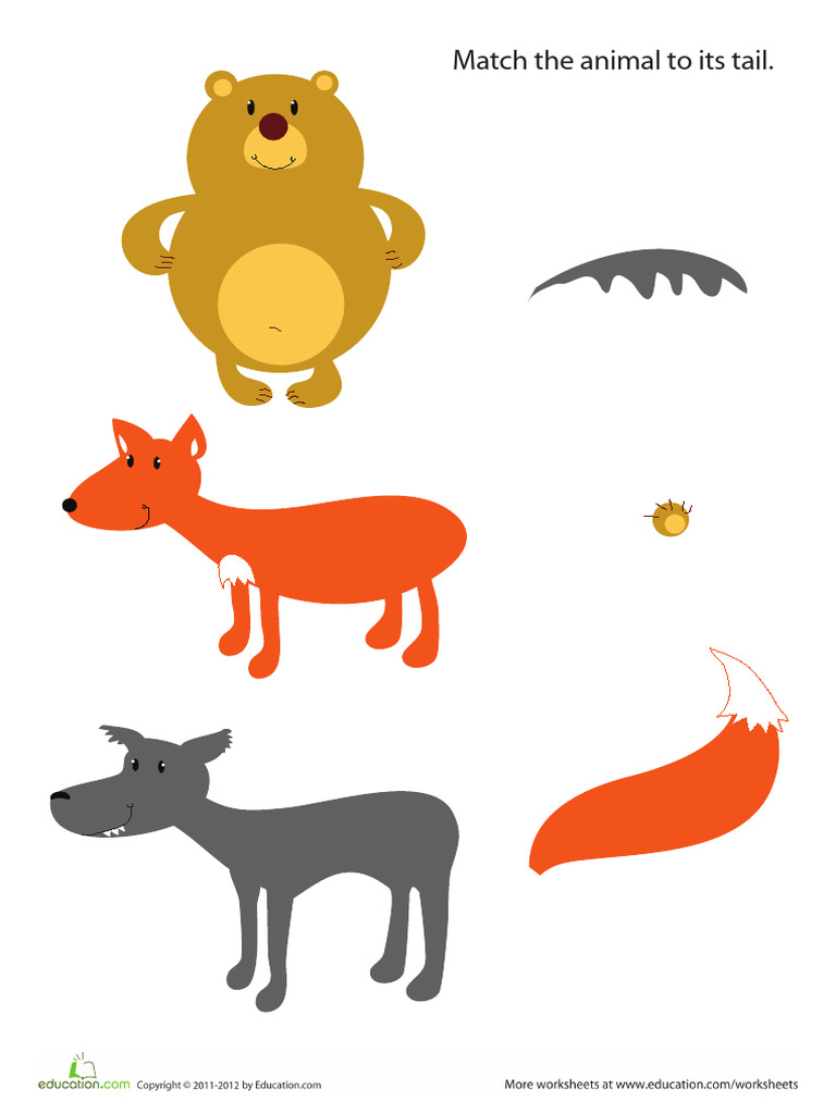 Animal Tails 4 | PDF
